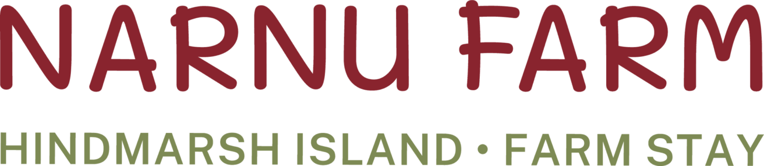 Authentic Farm Stay | Narnu Farm | Hindmarsh Island