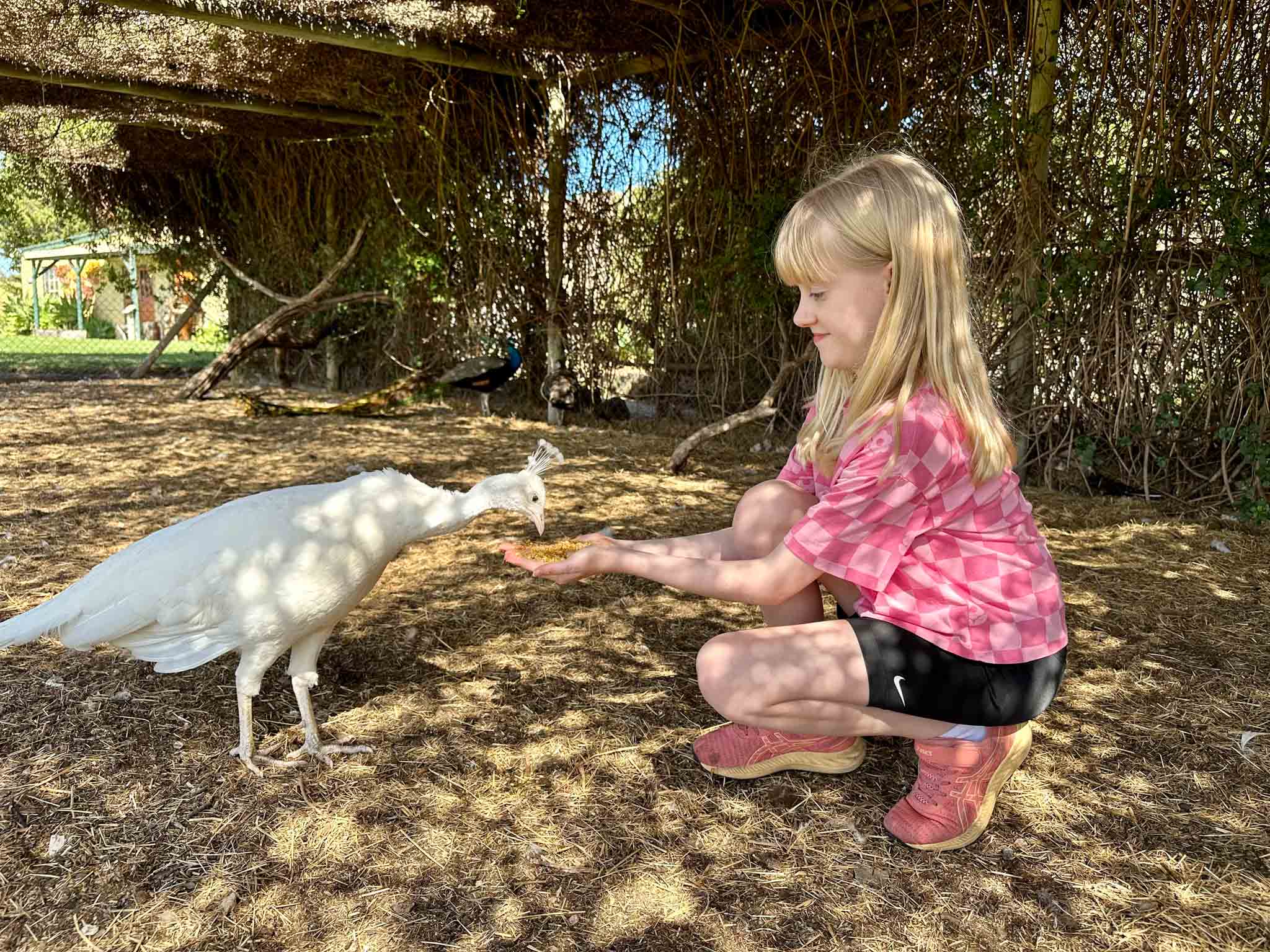 School Camps | Narnu Farm | Hindmarsh Island